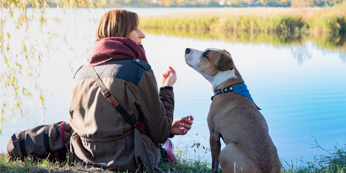 How AI is used to decode animal languages - Galaxus